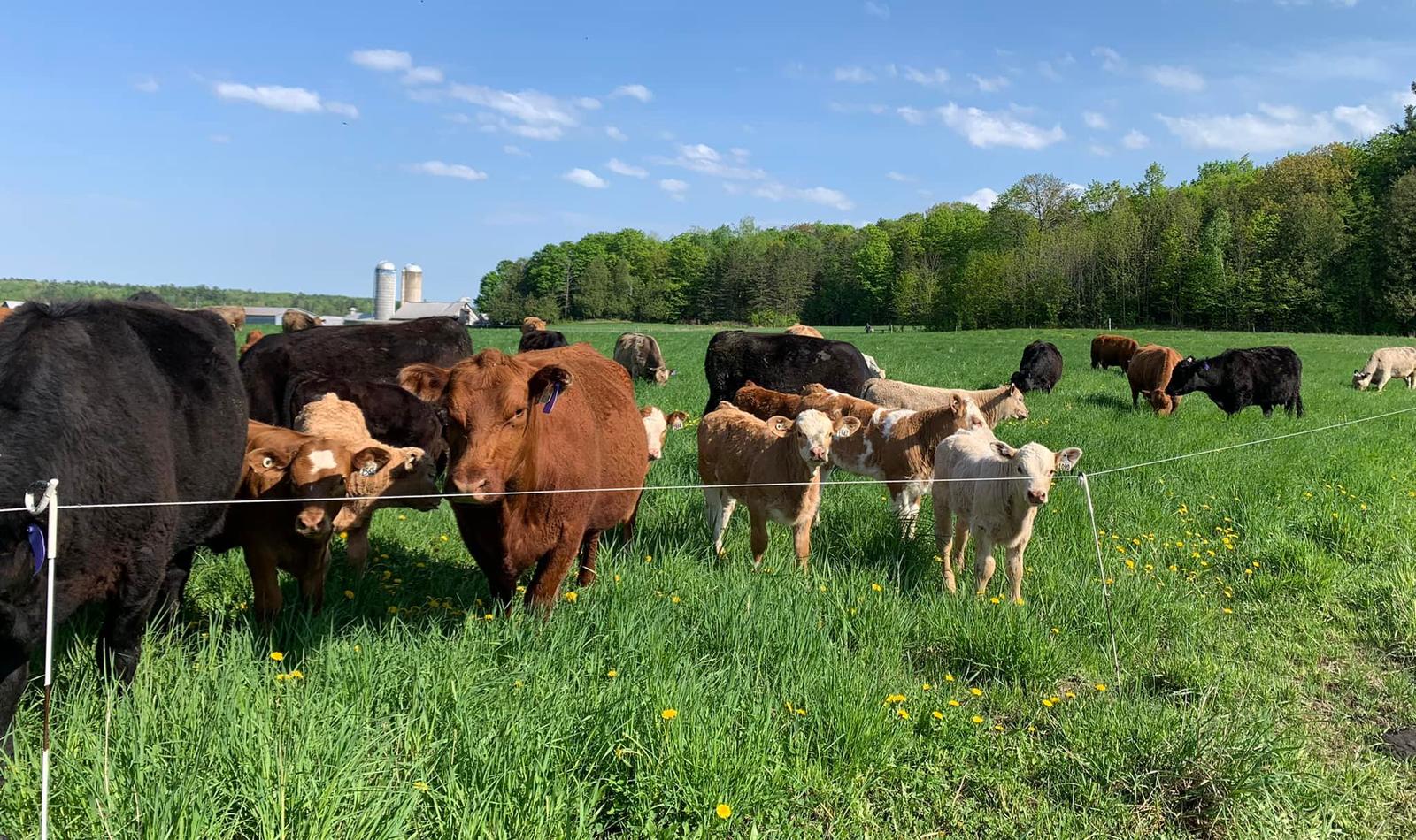 Tournée de fermes et pâturages, Ouest du Québec - CETAB+
